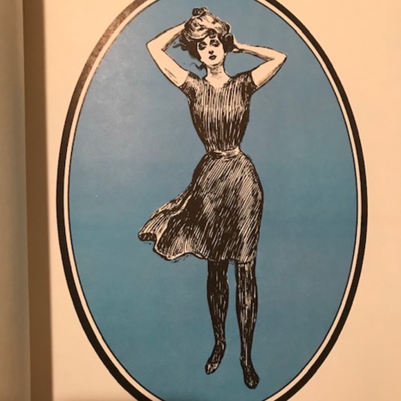 Other | The Pinup A Modest History Hardcover Book By Mark Gabor | Poshmark